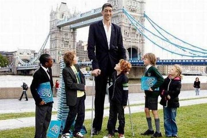 Кто самый высокий человек в мире и кто входит в топ-5 высоких людей