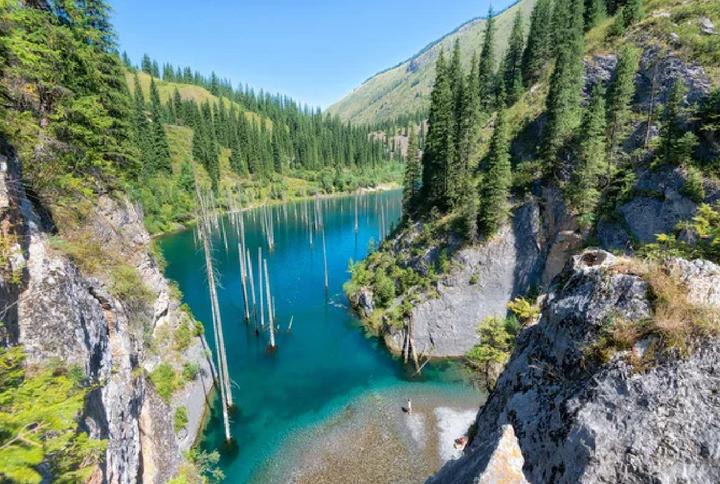 Озеро Каинды, в котором деревья выходят из воды: где находится и когда ...